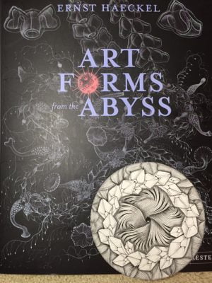 How to draw ANTHEM « TanglePatterns.com