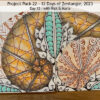 Zentangle® Project Pack #22 Summary – The Twelve Days of Zentangle ...