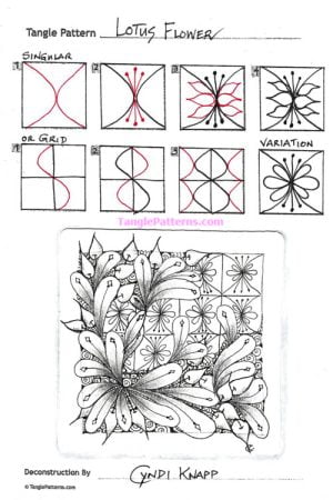 How to draw LOTUS FLOWER « TanglePatterns.com