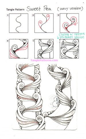 How to draw SWEET PEA « TanglePatterns.com