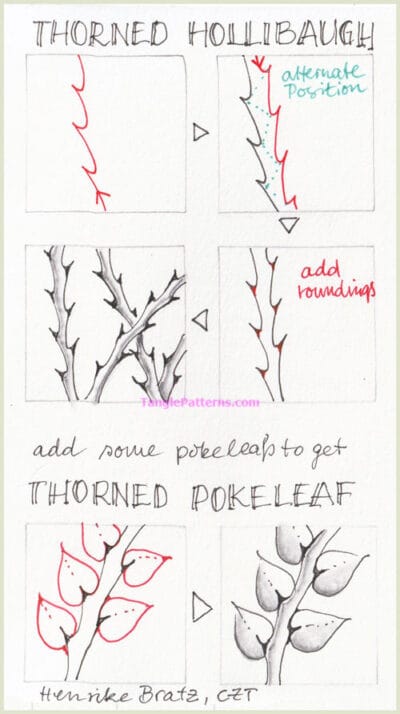 How to draw THORNED HOLLIBAUGH and THORNED POKELEAF « TanglePatterns.com