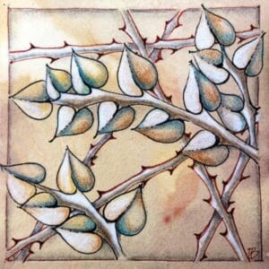 How to draw THORNED HOLLIBAUGH and THORNED POKELEAF « TanglePatterns.com